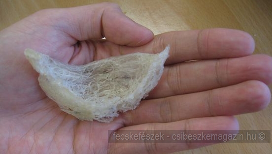 Fecskefészek a kínai konyha különlegessége » Csibészke Magazin